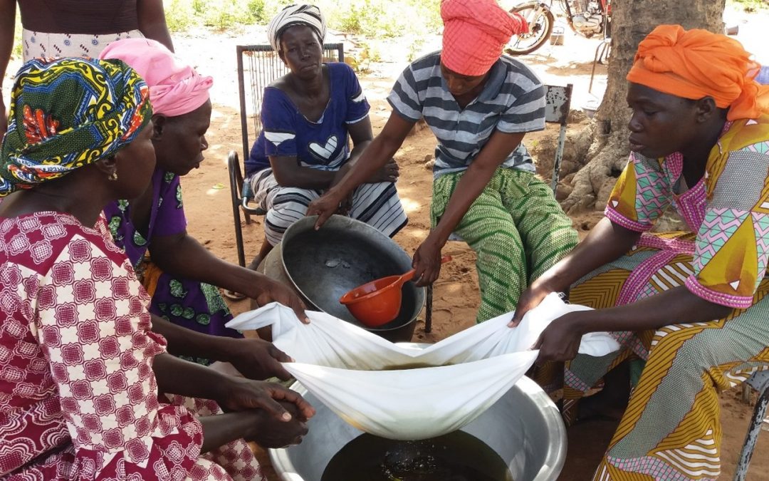 Tree-based value chains: key to better livelihoods and conserved ...